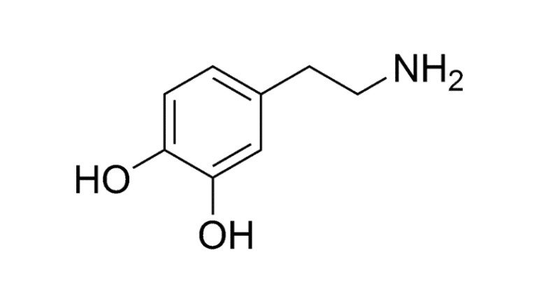 Dopamine- Indications, Dosage, Contraindications, ADRs > PharmaCampus